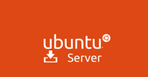 Установка Ubuntu Server 24.04 LTS – Linuwind